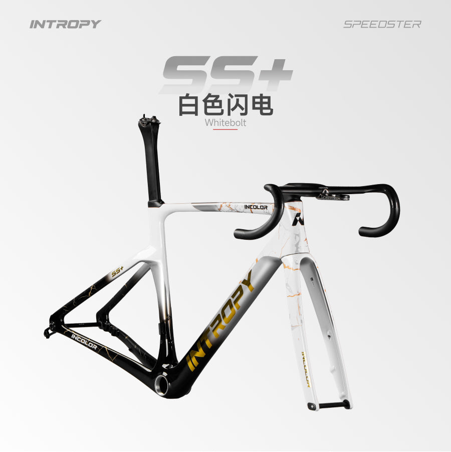 Incolor Intropy Speedster SS+ Frameset – CycleGears